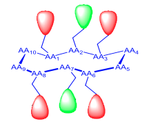 UQ Winter Research Program - School of Chemistry and Molecular ...